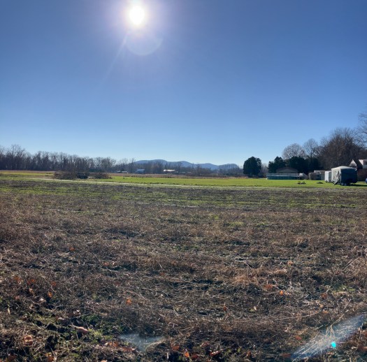 Wild Garden: Farm Field Trip 2025 – Wild Garden of Childhood Nursery